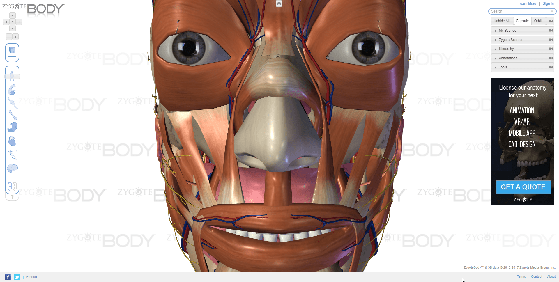 Zygote Body Anatomy 3D Interactive Presentation by ZygoteBody ...
